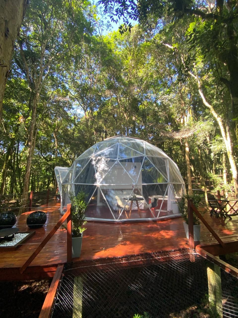 O Domo de Vidro: Uma Símbolo da Arquitetura Moderna – Bacana Notícias