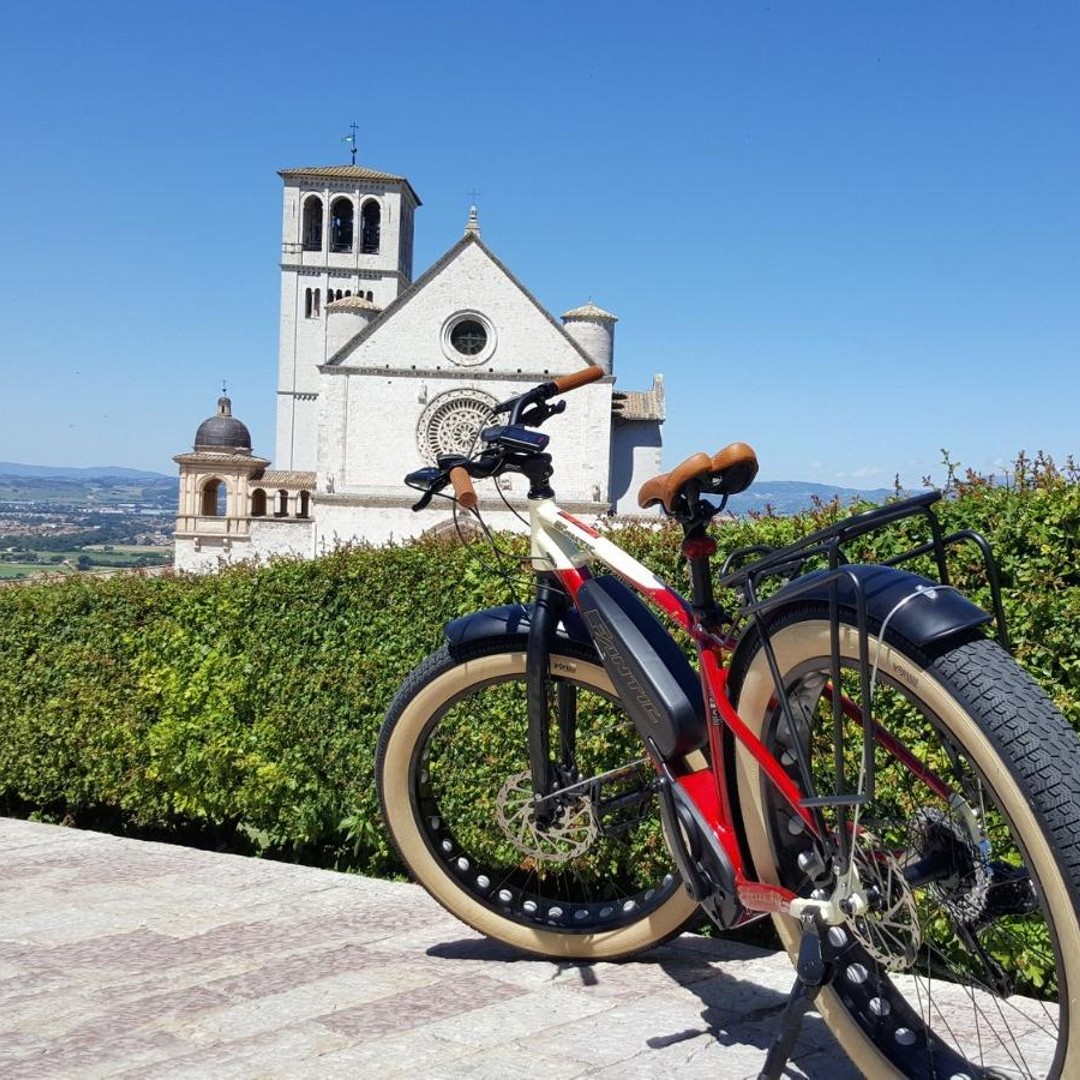 Bernabei: A Revolução na Produção de Vinhos – Bacana Notícias