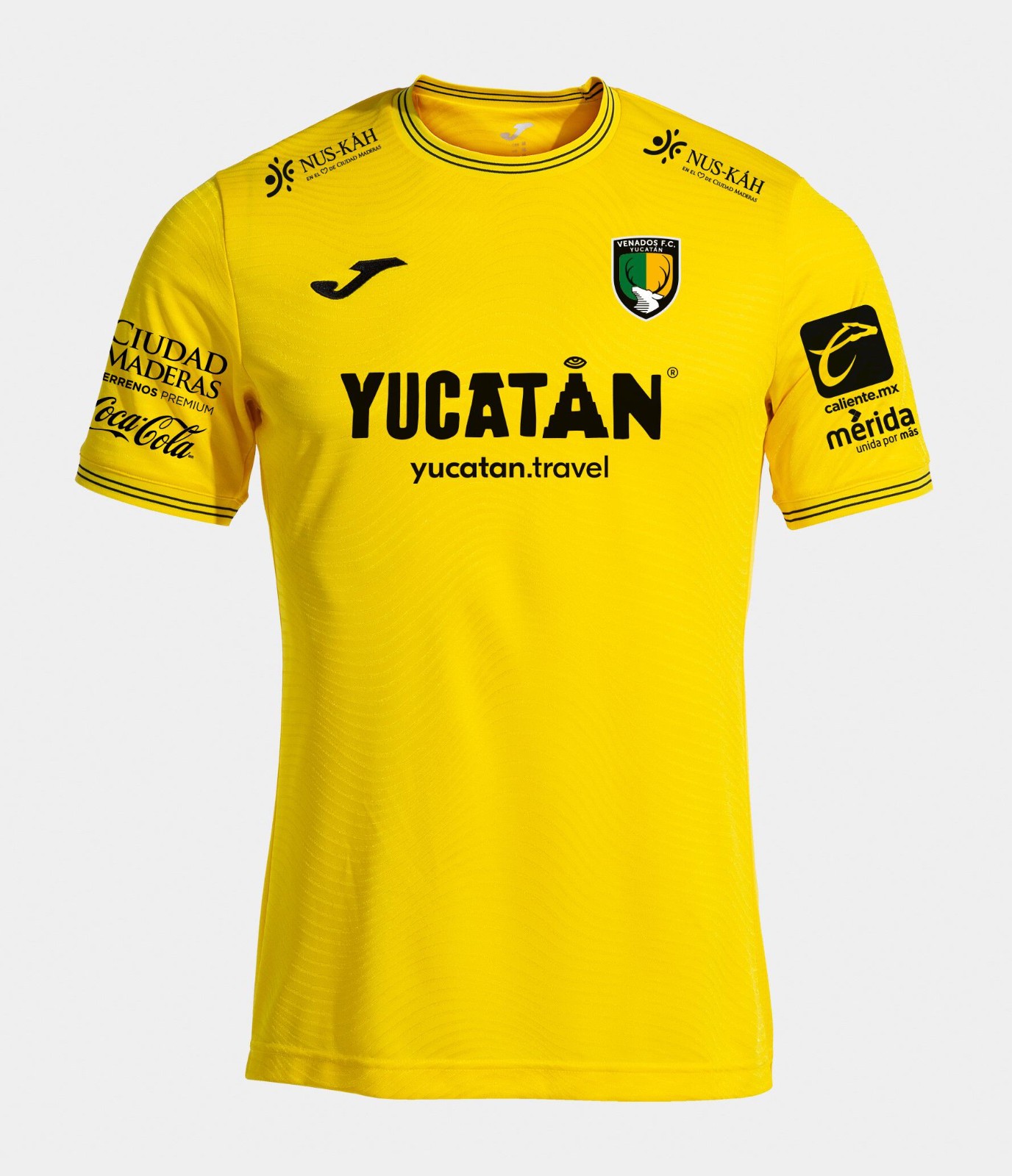 Venados FC: História e Conquistas do Time Mexicano – Bacana Notícias